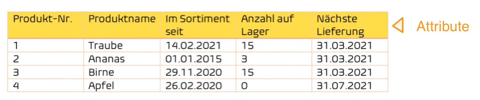 Datenbanken – Grundlagen einfach erklärt - MINT first.