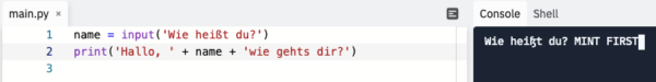 So funktioniert die Input-Funktion in Python - MINT first.