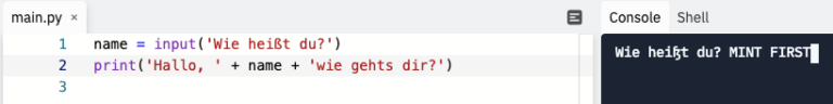 So funktioniert die Input-Funktion in Python - MINT first.