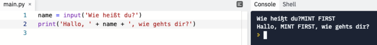 So funktioniert die Input-Funktion in Python - MINT first.