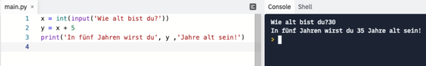 So funktioniert die Input-Funktion in Python - MINT first.